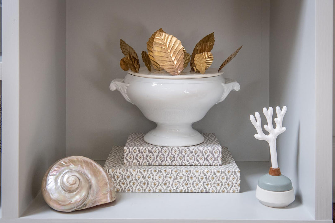 Antique Giant Turbo Marmoratus shell – Natalia Willmott